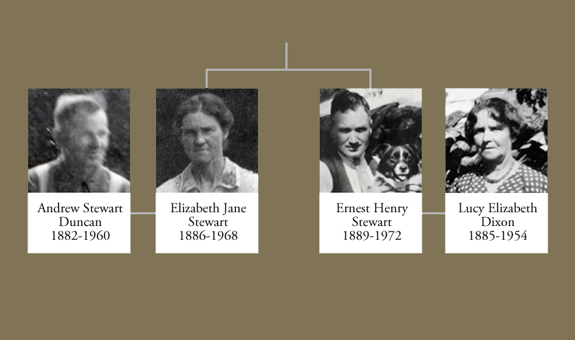 Ernest Henry Stewart – Andrew's Archives